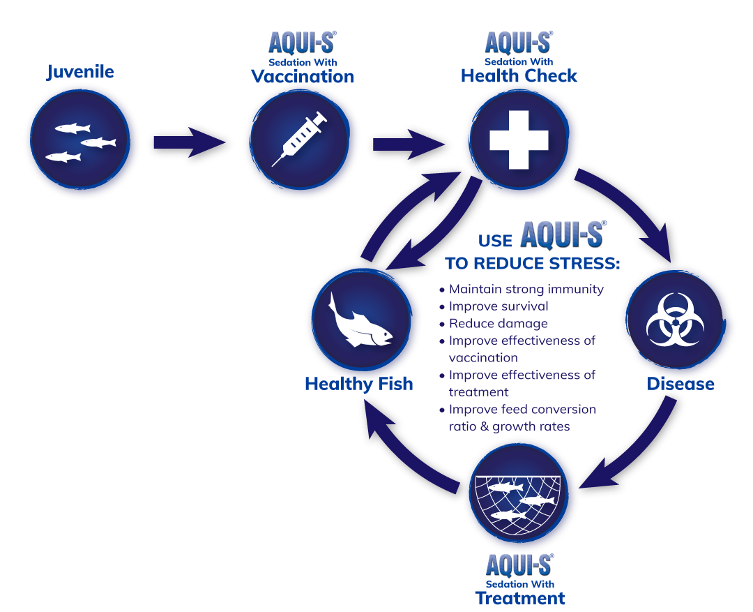 Fish Health Management - AQUI-S® Versatile Aquatic Anaesthetic | New ...